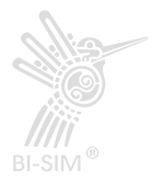 BI-SIM – #DisruptEverything