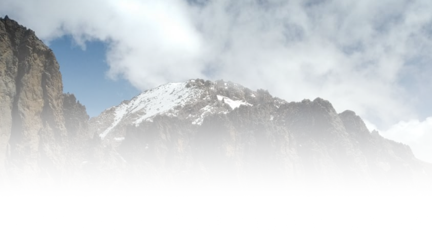 BI-SIM – #DisruptEverything